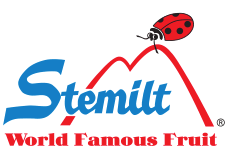 All About Apples | Stemilt