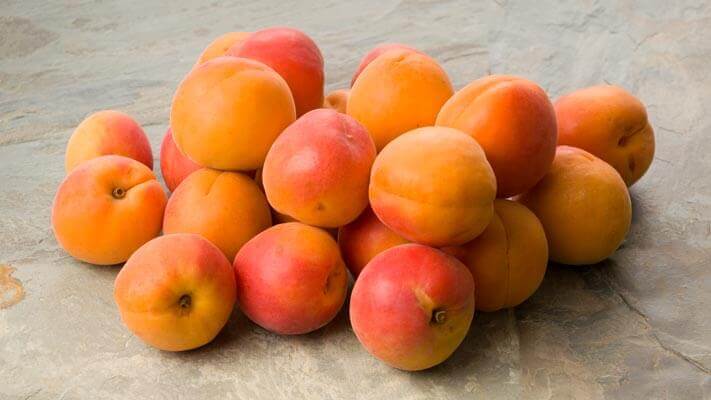 Fresh Apricots | Stemilt