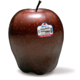 Apple Sweetness Scale: How to Pick the Perfect One