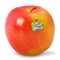 Apple Sweetness Scale: How to Pick the Perfect One