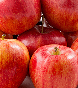 All About Apples | Stemilt