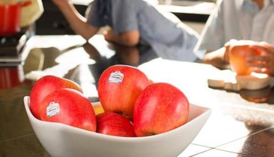 Crunch Before Lunch on Apples: An Easy Option for Fewer Calories | Stemilt
