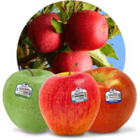 Apple Sweetness Scale: How to Pick the Perfect One