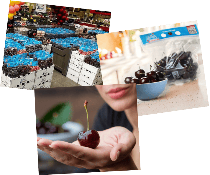 Taste the World Famous Cherries - Hand-Picked Delights